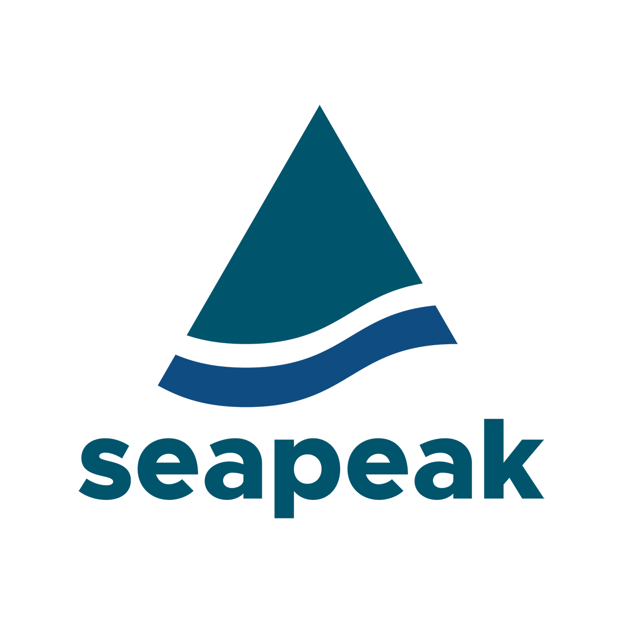 Our Investment Portfolio | Stonepeak